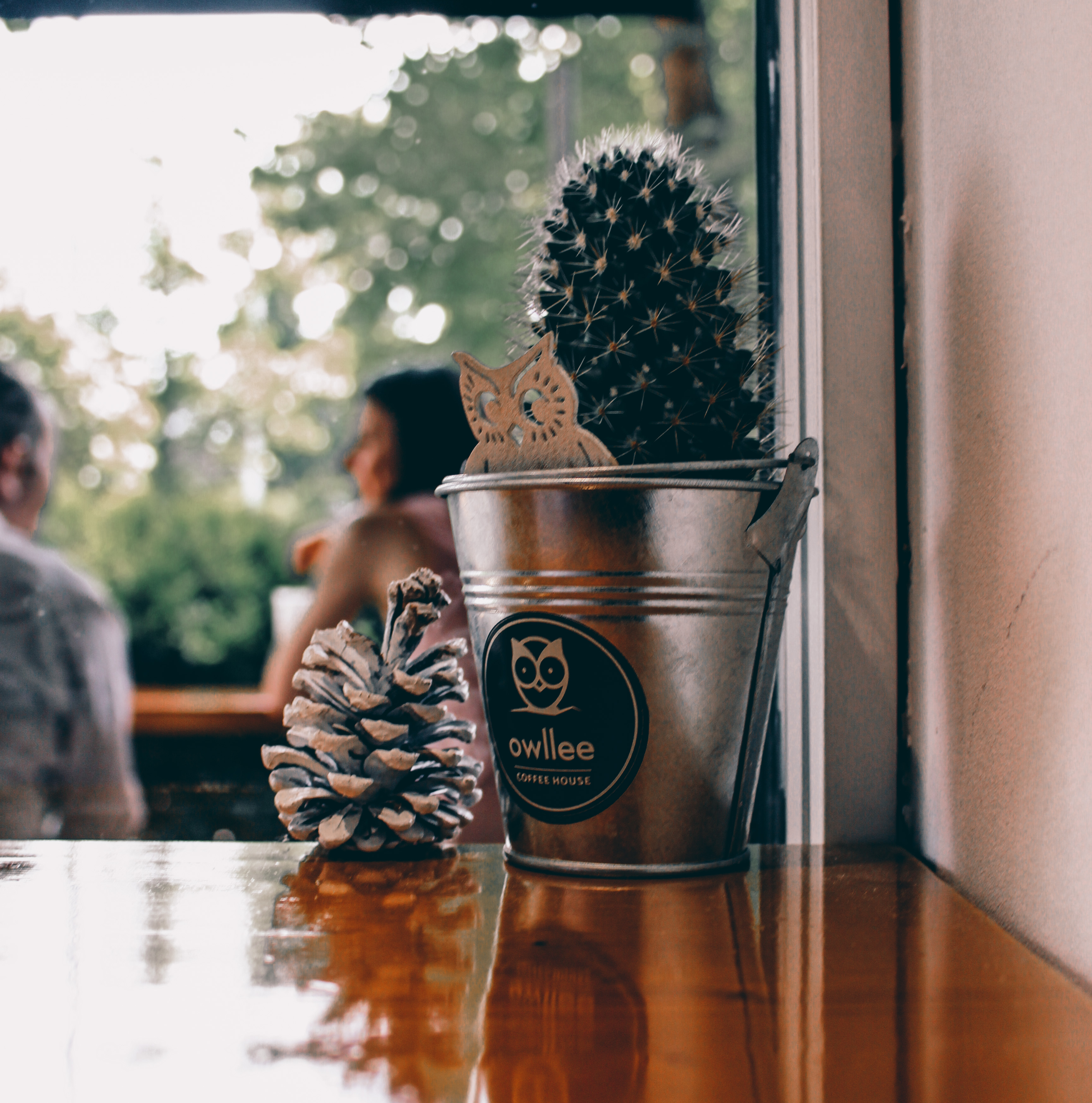 Owllee 2.0: лимонади и други летни предложения